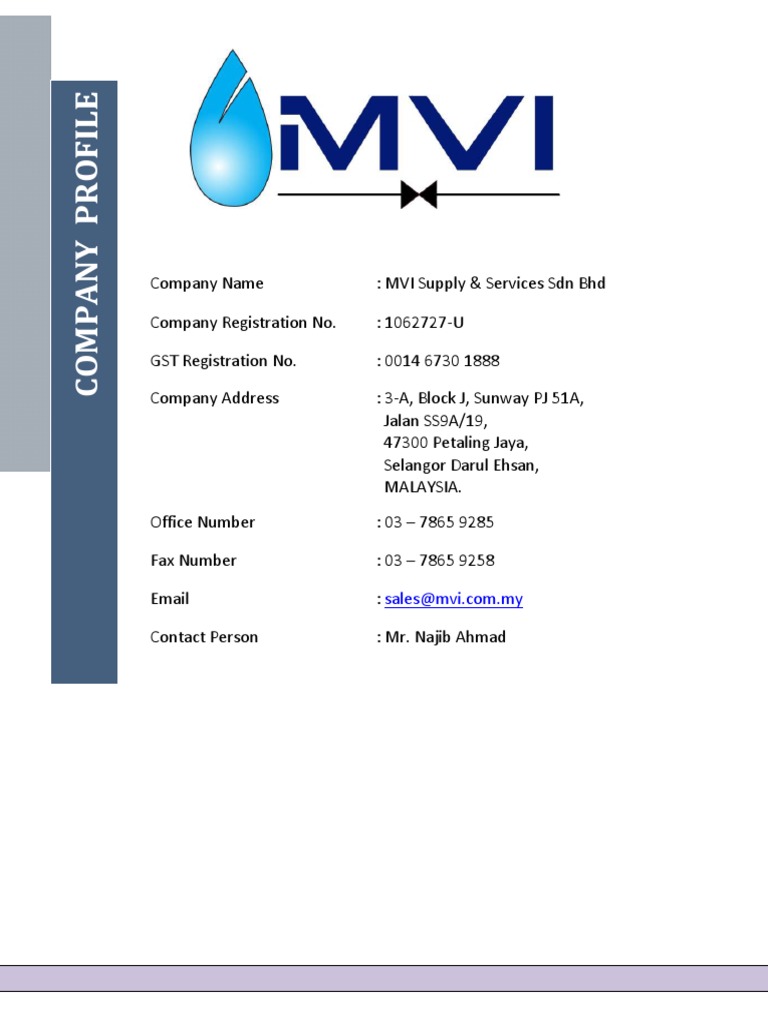 MVI Company Profile 21.5.15 | PDF | Valve | Gas Technologies