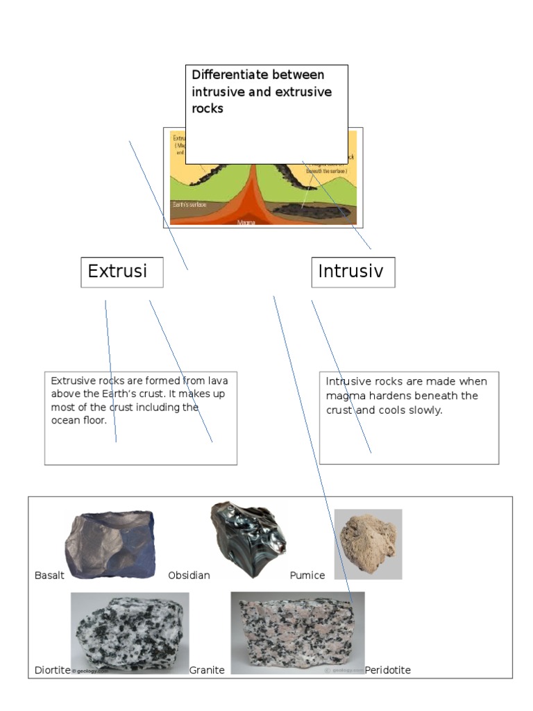 Graphic Organizer | PDF