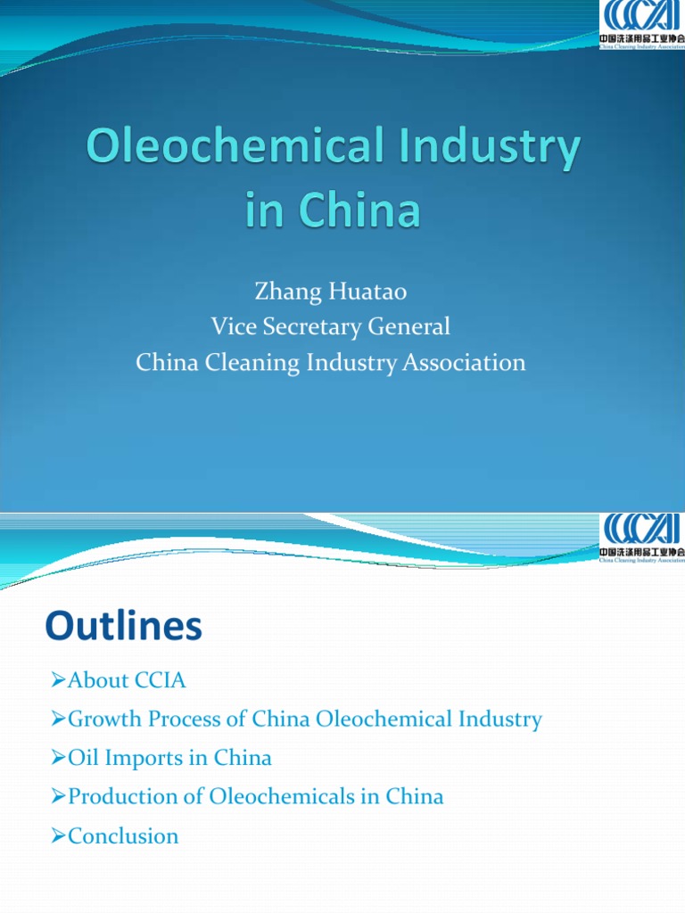 China Oleochemical Industry Overview | PDF