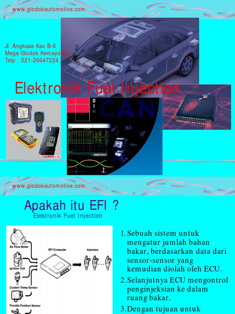 Training Efi 1 Pdf