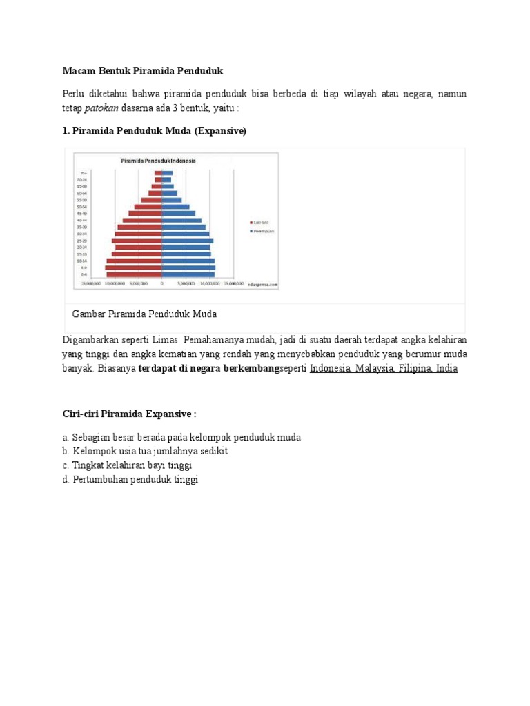 Macam Bentuk Piramida Penduduk | PDF