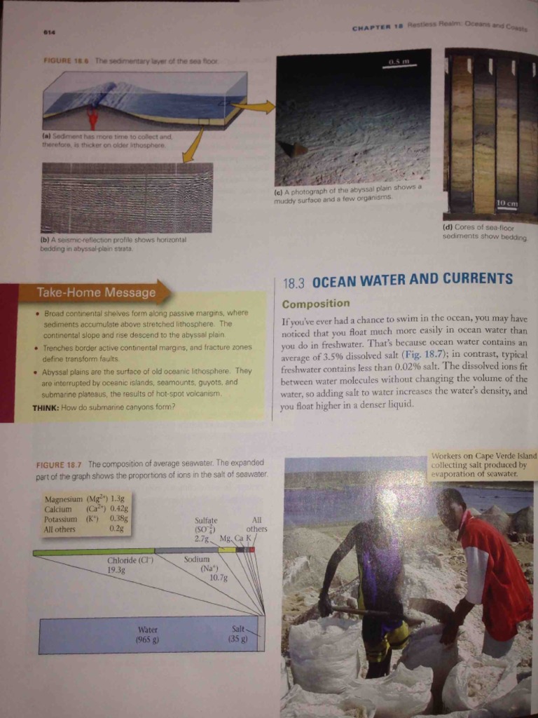 (Excerpt) Earth:portrait of A Planet | PDF