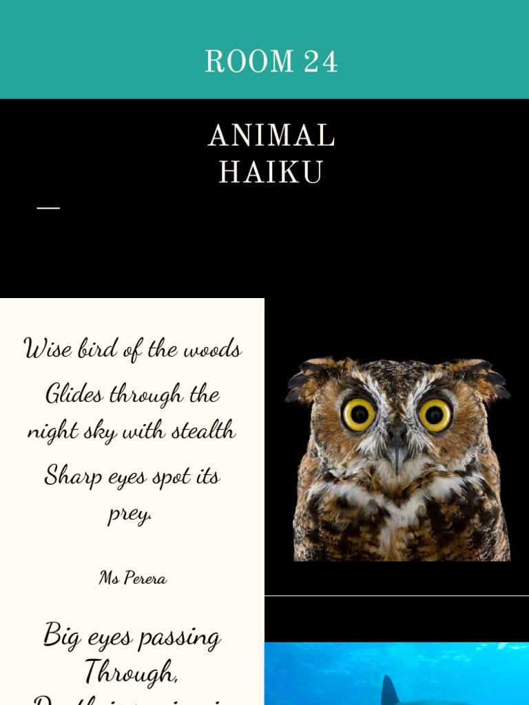 Room 24 Haiku | PDF
