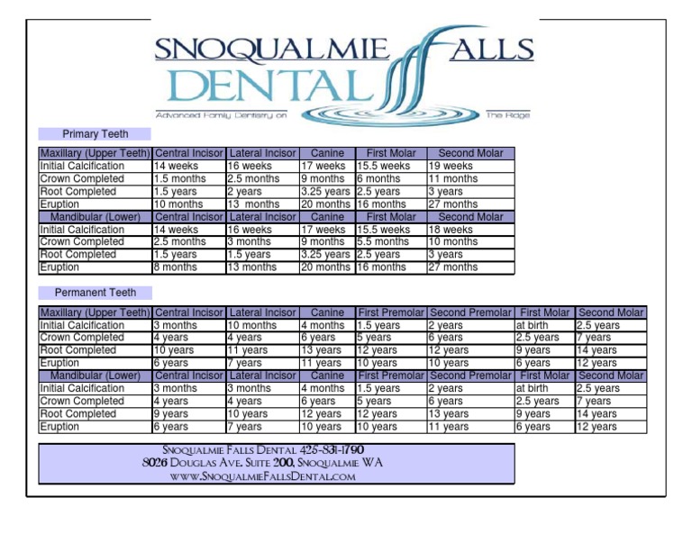 Teeth Eruption and Calcification Chart | PDF | Tooth | Human Head And Neck