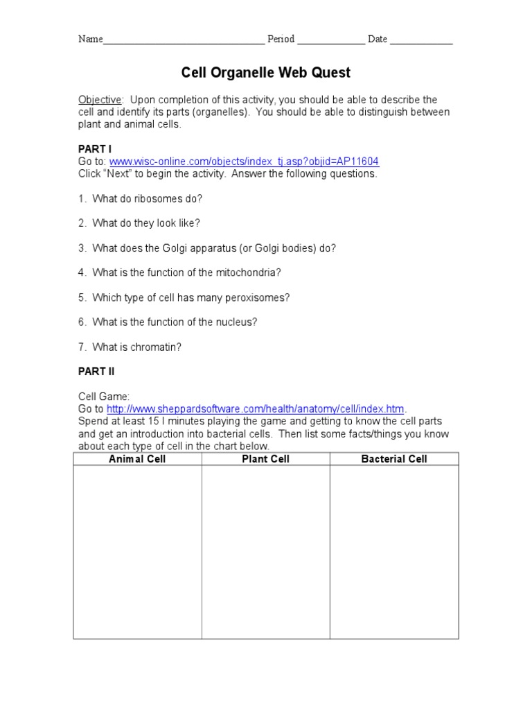 Cell Organelle Exploration Activity | PDF | Games & Activities | Computers
