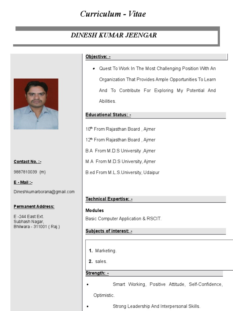 Dinesh Kumar Jeengar CV and Profile | PDF | Career & Growth