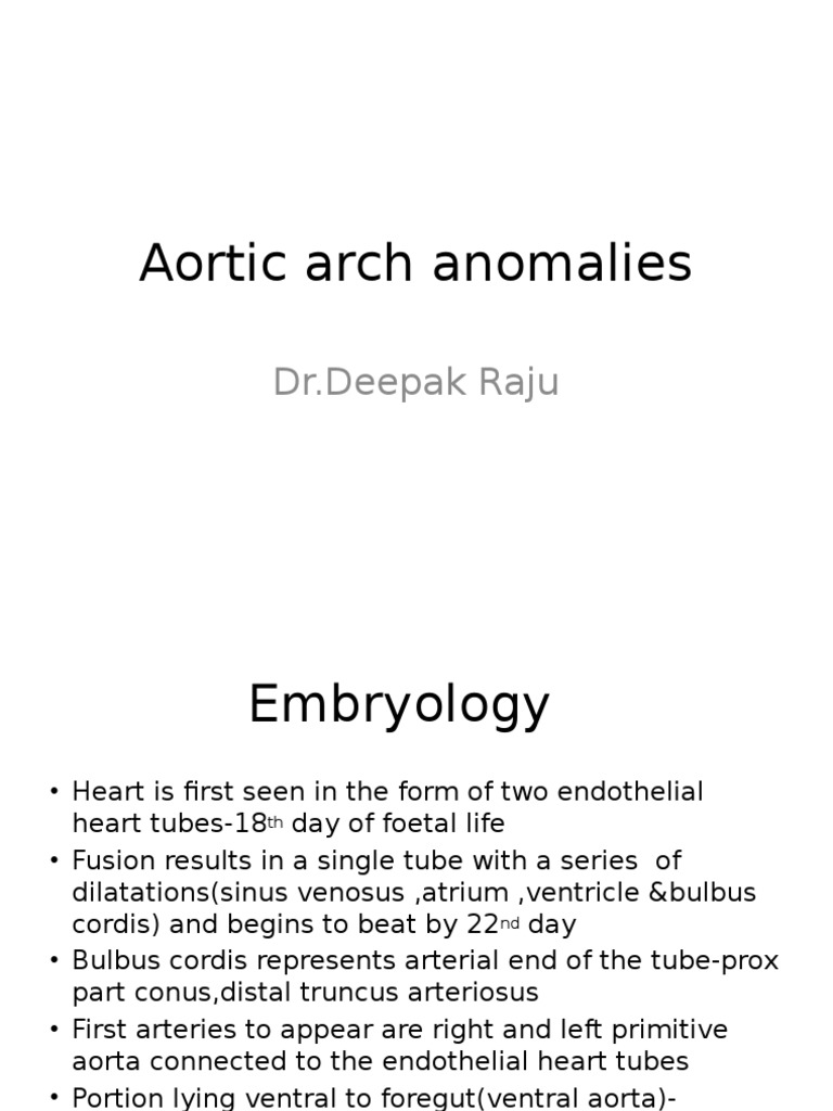 Aortic Arch Anomalies | PDF | Aorta | Common Carotid Artery