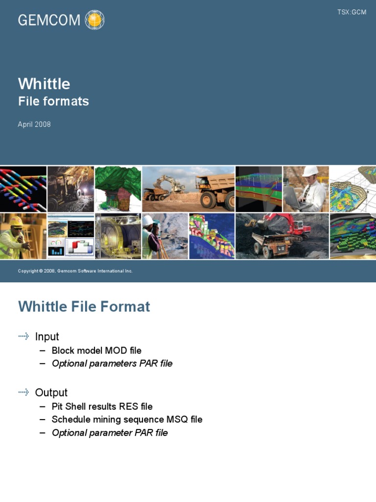 3 - Whittle File Formats | PDF | Data | Data Management