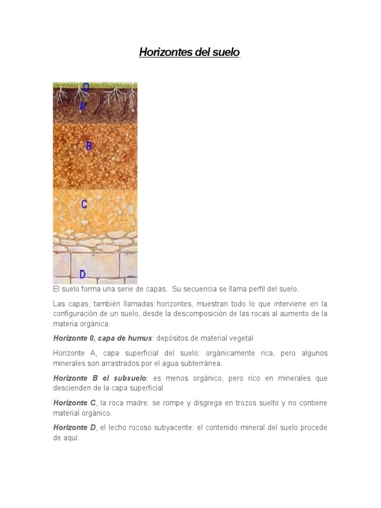 Horizontes Del Suelo | PDF | Materiales naturales | Suelo