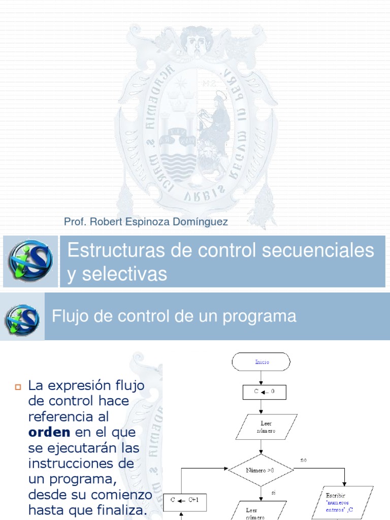 Sesión 2 - Estructuras Secuenciales y Selectivas | PDF | Programa de ...
