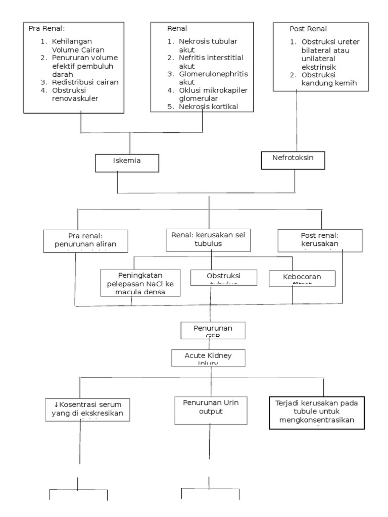 Patofis AKI | PDF | Ilmu Sosial | Seni