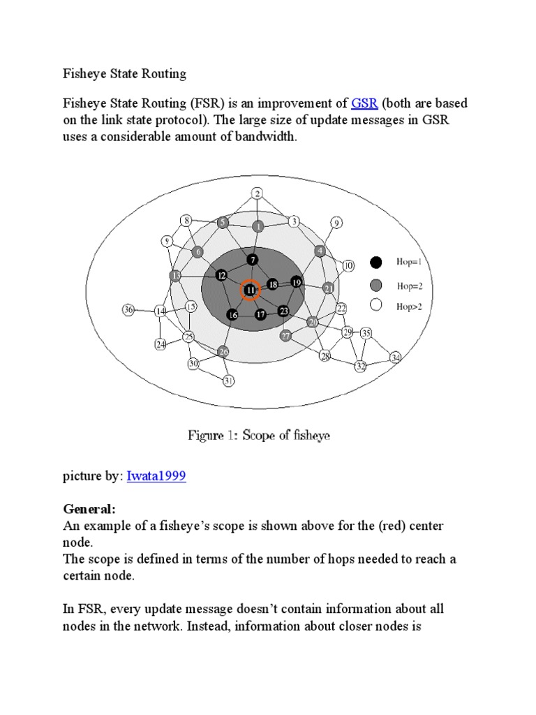 Fisheye State Routing | PDF | Routing | Network Topology