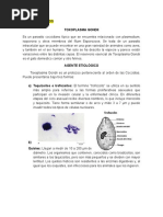 Generalidades de Esporozoarios | PDF | Anatomía | Biología