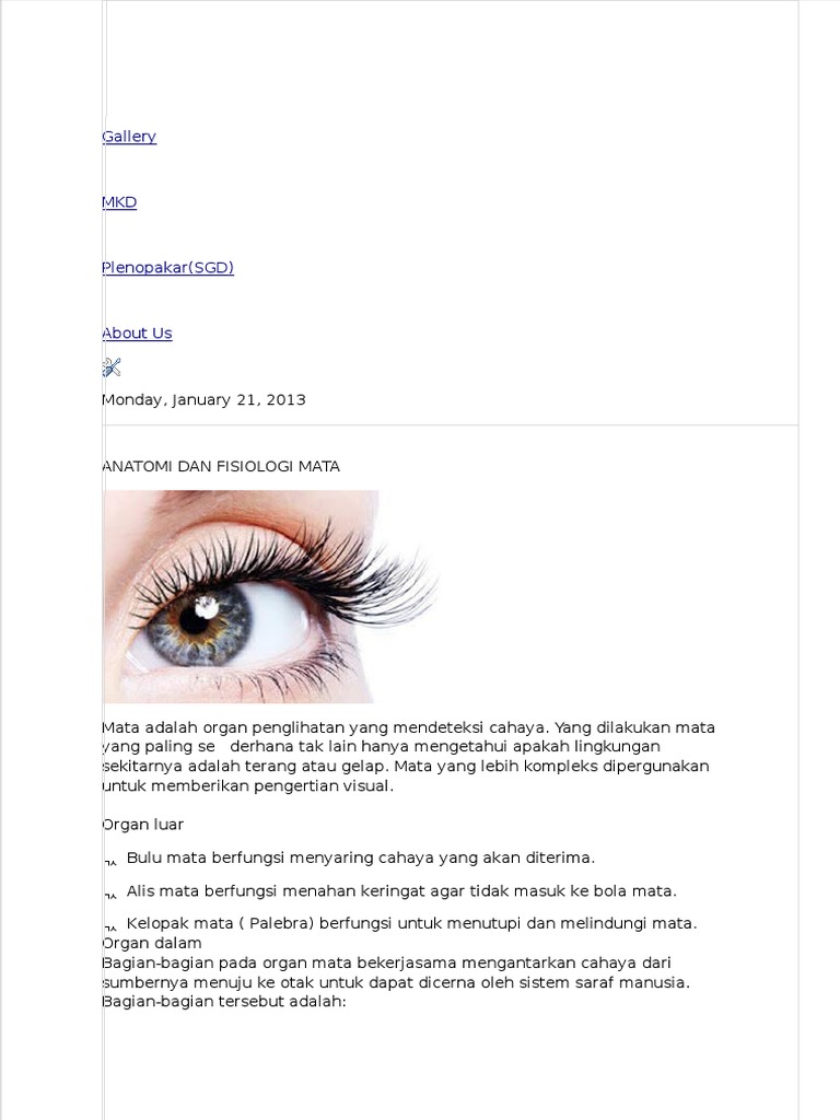 Anatomi Kelopak Mata | PDF