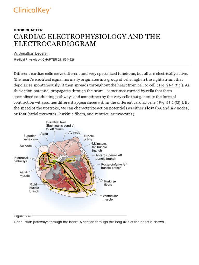 Cardiac Electrophysiology and the Electrocardiogram - Clinicalkey ...
