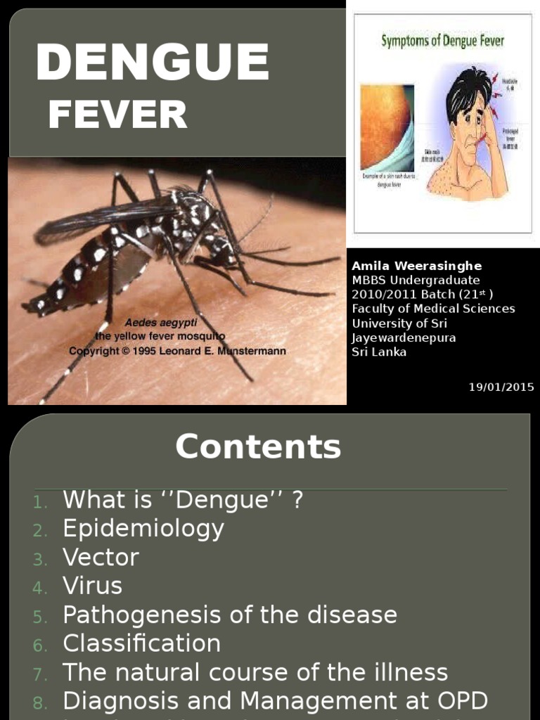 Fever: Dengue | PDF | Medical Specialties | Clinical Medicine