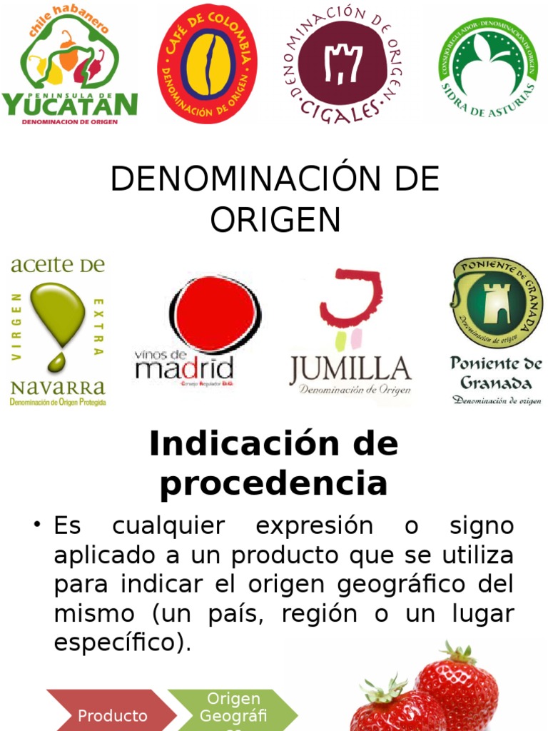 Denominación de Origen | PDF | Producto (Negocio) | Economias