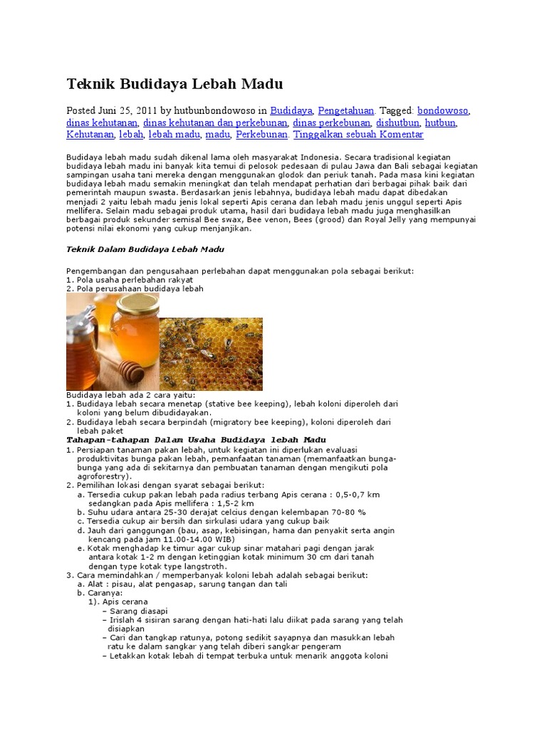 Teknik Budidaya Lebah | PDF | Teknologi & Rekayasa | Griya & Taman