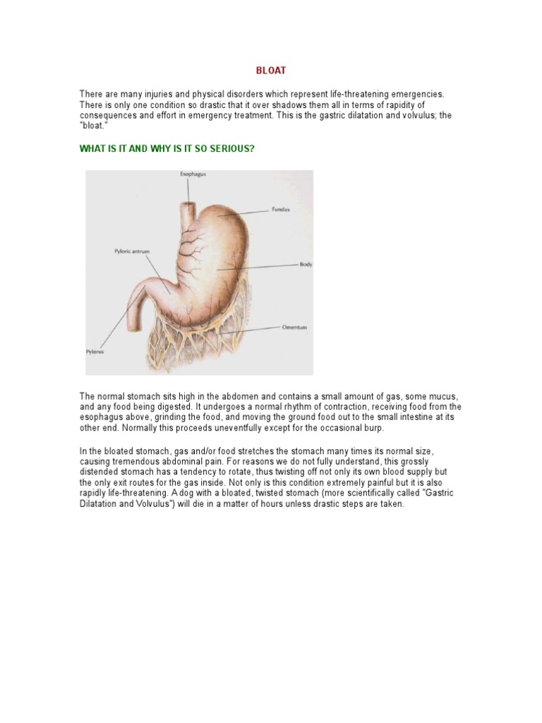 What Is It and Why Is It So Serious?: Bloat | PDF | Health Sciences ...