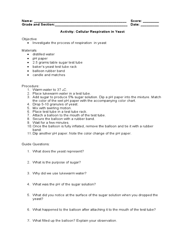 Yeast Respiration Experiment Guide | PDF