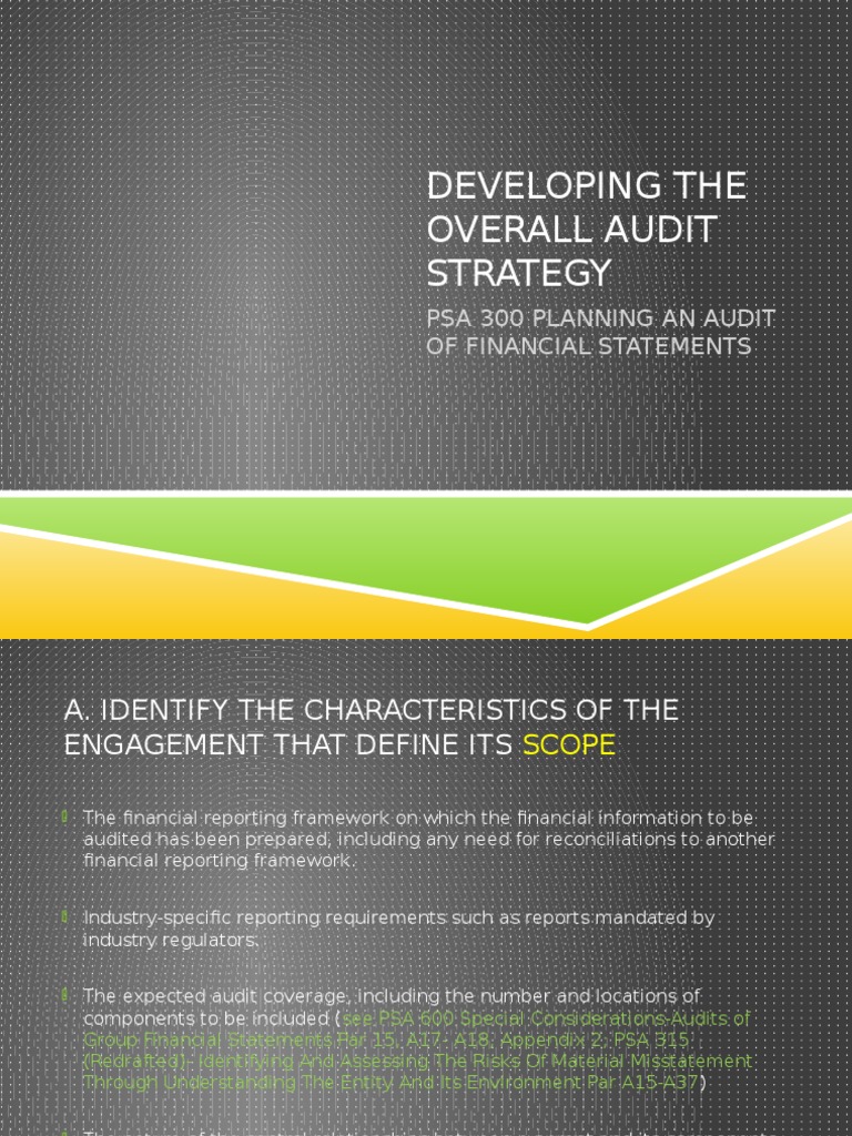 Overall Audit Strategy | PDF | Audit | Expert