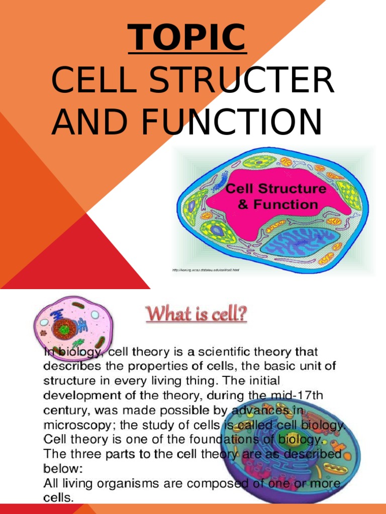 Cell Structer and Function: Topic | PDF | Cell (Biology) | Organisms