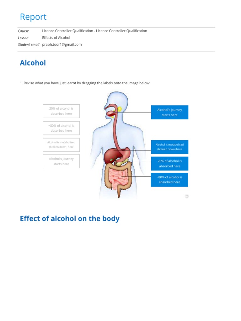 Effects of Alcohol Report | Download Free PDF | Alcoholic Drinks ...
