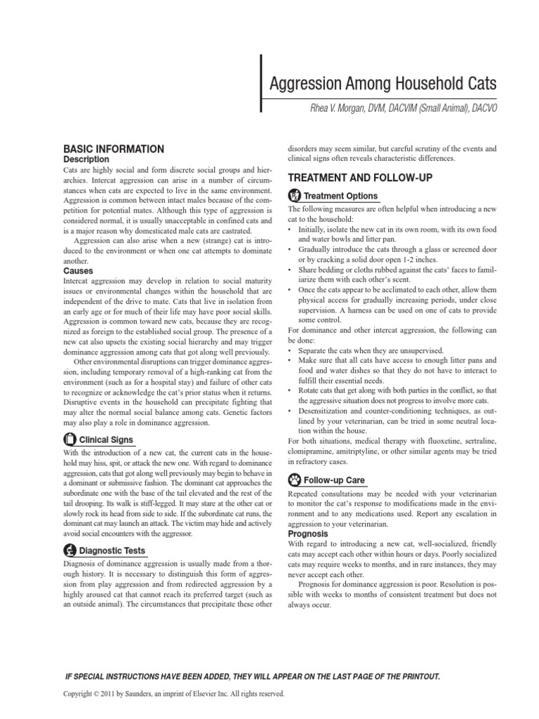 Aggression Among Household Cats | PDF | Aggression | Cats