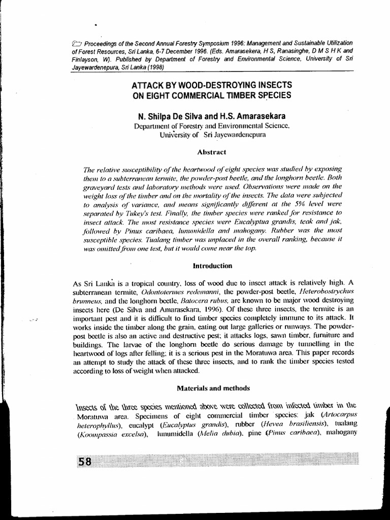 Insects Attack On SL Timber | PDF | Wood | Lumber