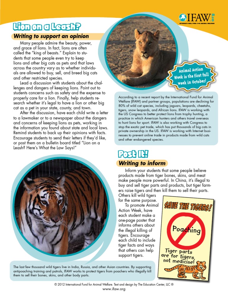 Big Cats | PDF | Lion | Animals And Humans