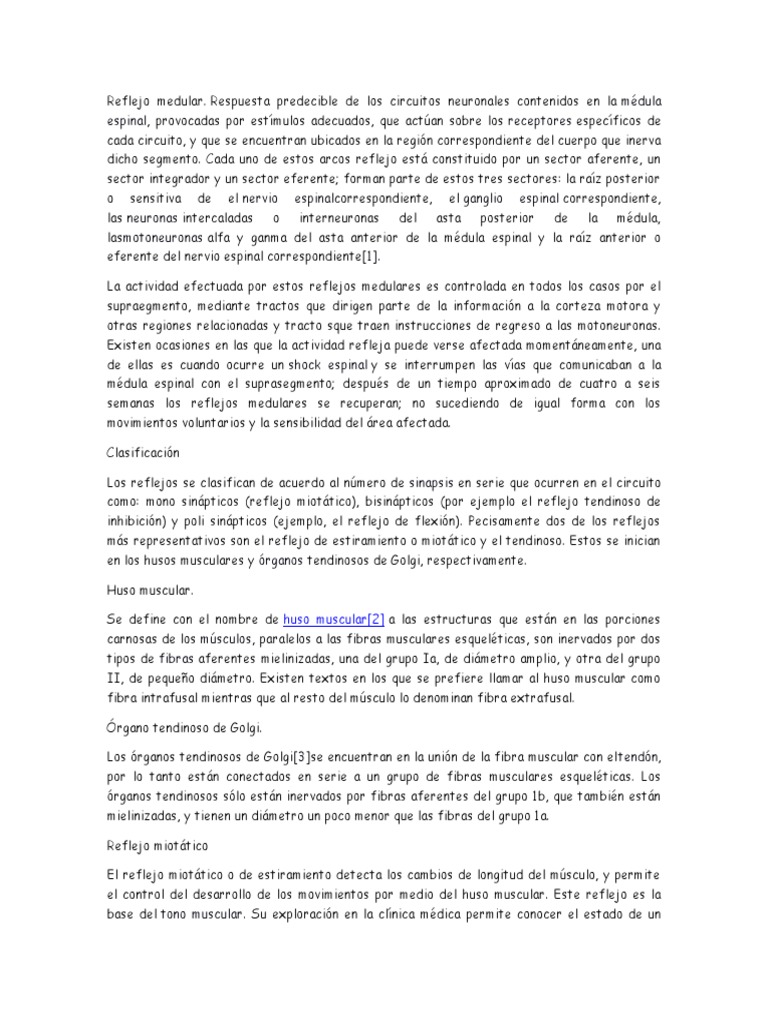 Reflejo Medular | PDF | Músculo | Neurona motora