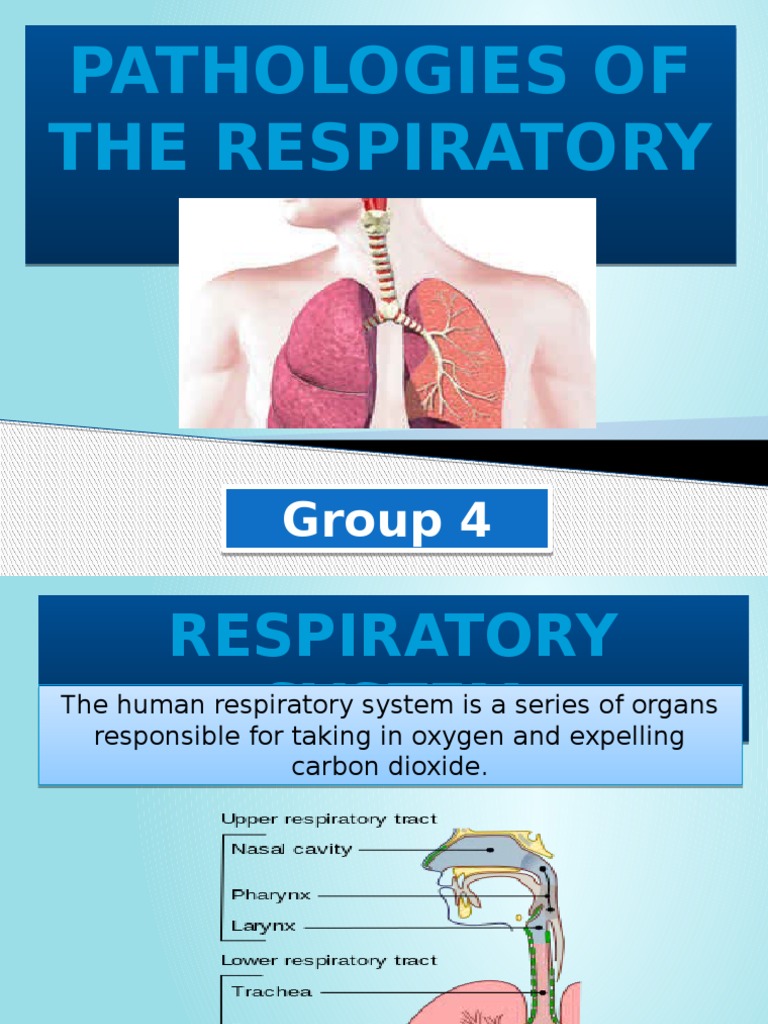 Group 4 Pathologies of the Respiratory System Report Micro | Pneumonia ...