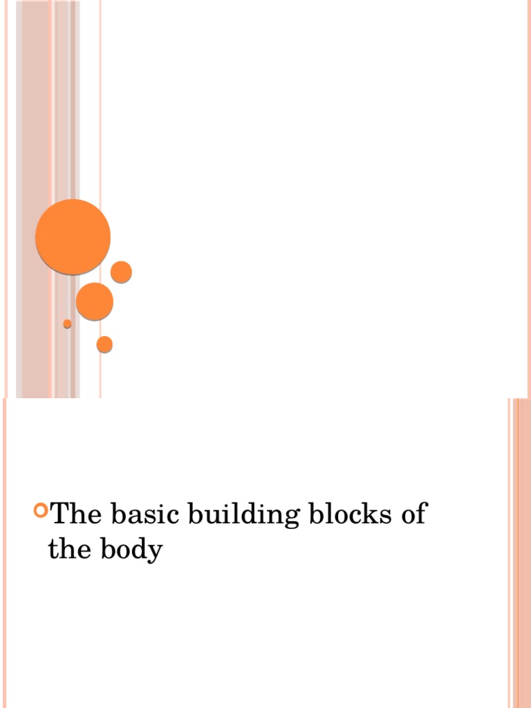 Total Health Chapter 1,2 Review Game | PDF | Immune System | Lung