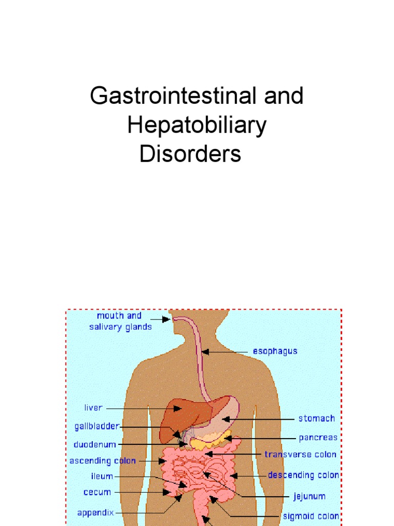 Gastrointestinal and Hepatobiliary | Cirrhosis | Gastrointestinal Tract