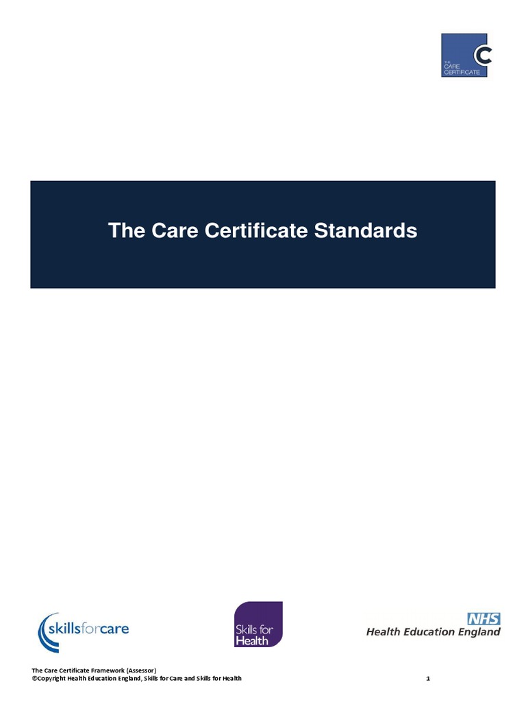 Care Certificate Standards | PDF | Health Care | Disability