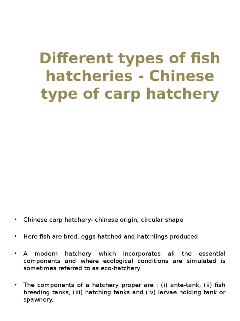 Different Types of Fish Hatcheries - Chinese Type of Carp Hatchery | PDF