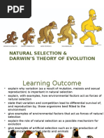 Evolution Station Cards BIOLOGY COMPLETE WORSHEET ASSIGNMENT ANSWERS ...