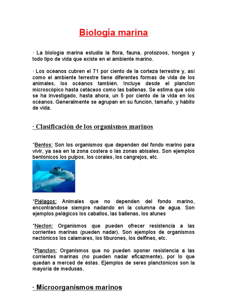 Biología Marina | PDF | Biología Marina | Oceanografía