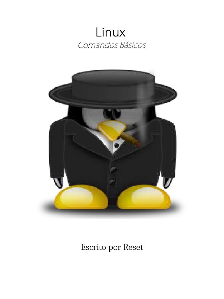 Comandos Básicos do Linux: Uma Introdução aos Principais Comandos de ...