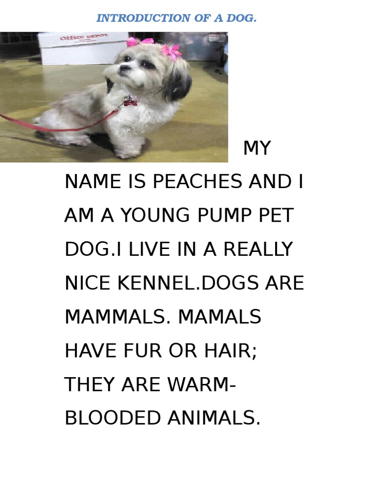 Introduction of A Dog | PDF