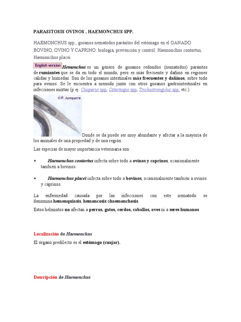 Haemonchus spp. en bovinos y ovinos | PDF | Oveja | Vacas