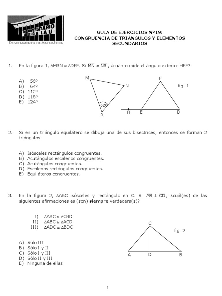 Ejercicio19 2 | PDF | Triángulo | Rectángulo