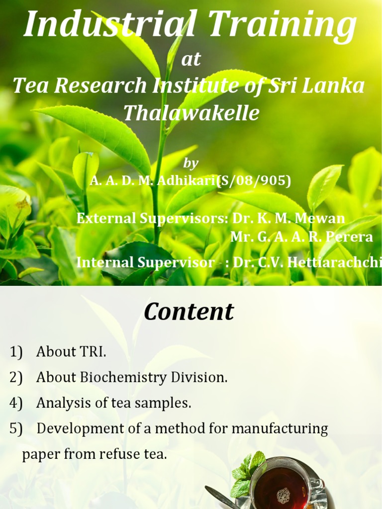 Industrial Training Presentation S 08 905 | PDF | Technology & Engineering