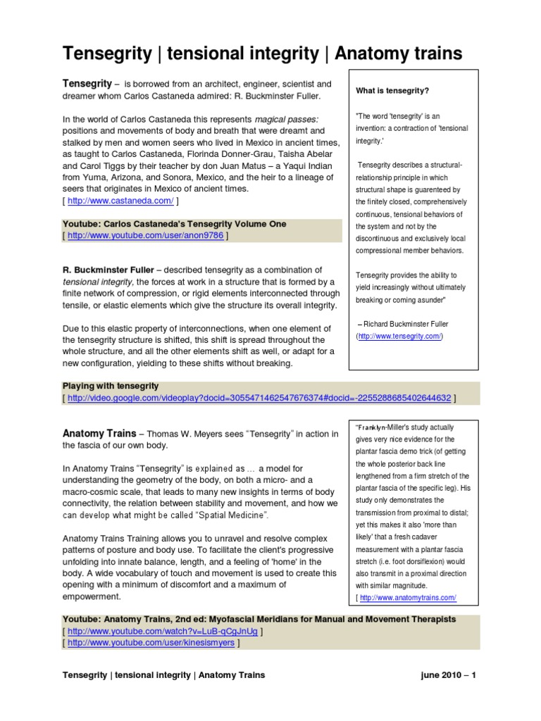 Tensegrity - Tensional Integrity - Anatomy Trains - Myofacial Meridians ...