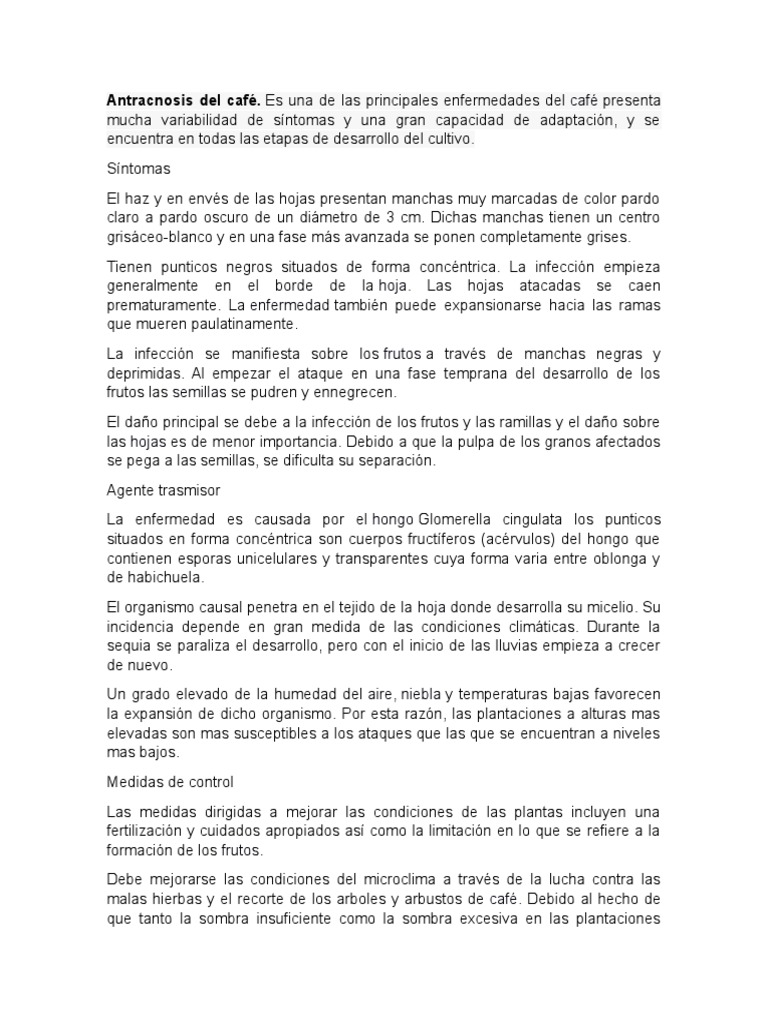 Antracnosis del café: síntomas y control | PDF | café | Hongo