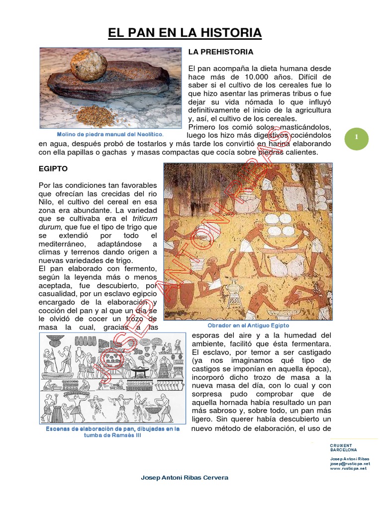 El Pan en La Historia | Panes | Trigo