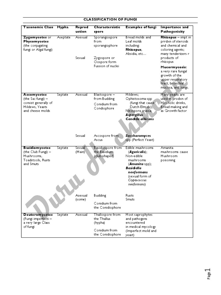 Classification of Fungi PDF | PDF | Bacteria | Mold
