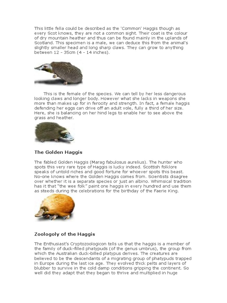 Haggis History With Pictures | PDF | Hunting | Habitat