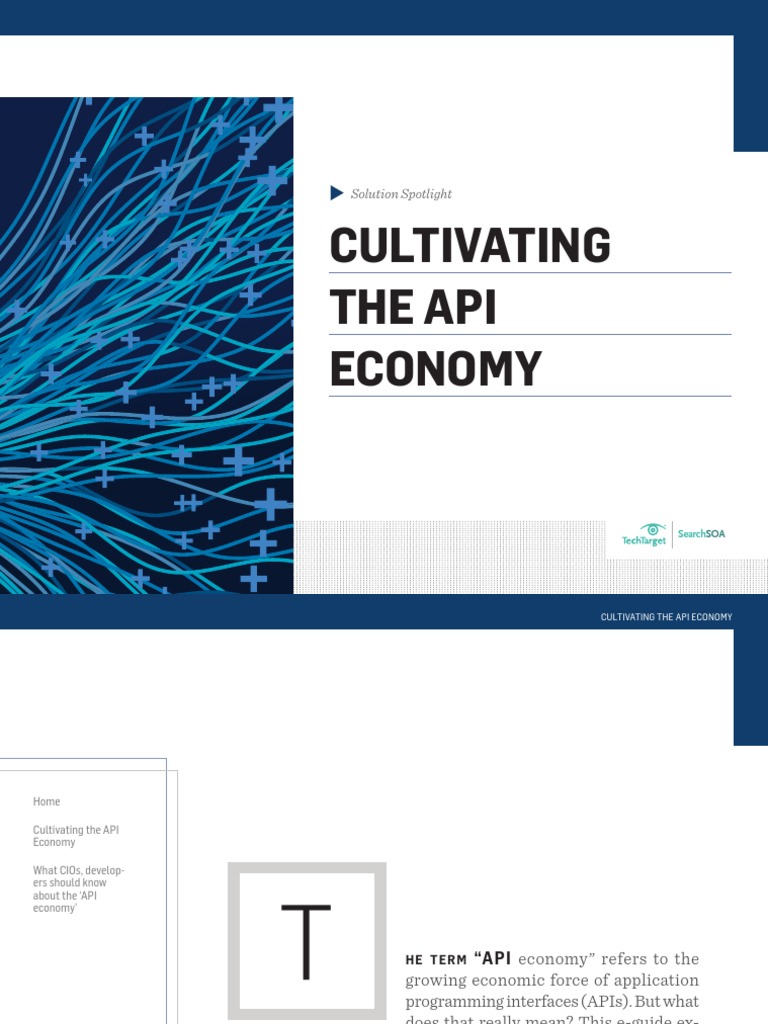 Cultivating The Api Economy: Solution Spotlight | PDF | Cloud Computing ...
