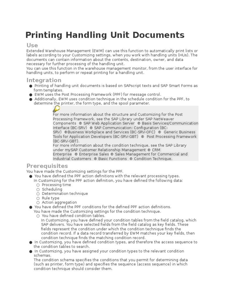 EWM HU Label PPF Action and Conditions Technique | Customer ...